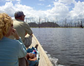 Discover Suriname Tours - Comfort Tours