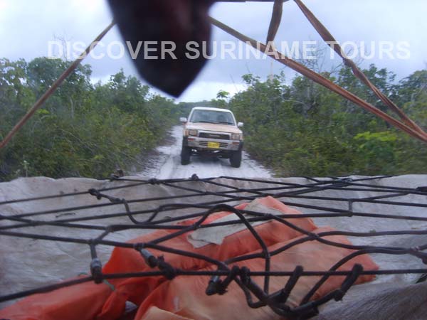 Discover Suriname Tours - Bigi Poika