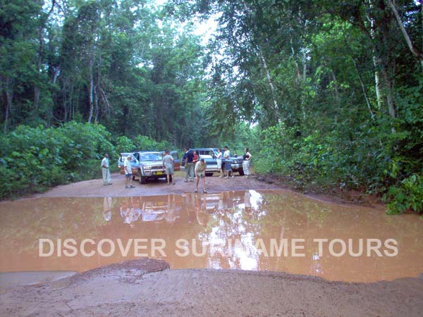 Discover Suriname Tours - Bigi Poika